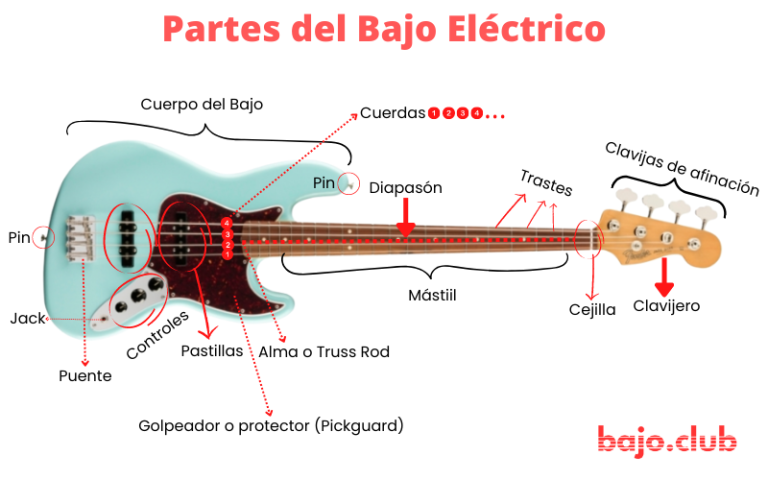 ¿Qué es el Bajo Eléctrico? | Bajo.club